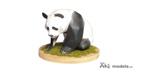 Panda - AKI models